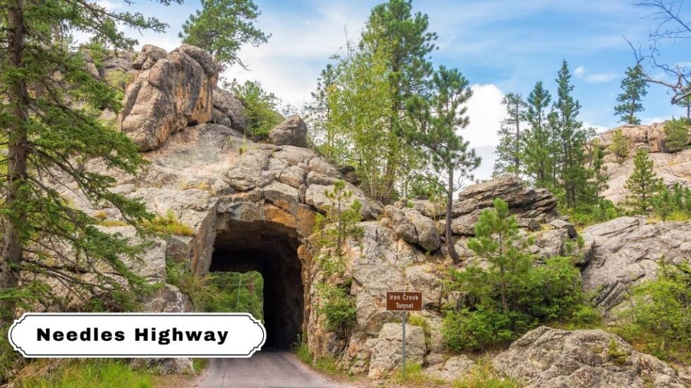 Best Scenic Drives In The Black Hills For First-Time Visitors | Mount ...