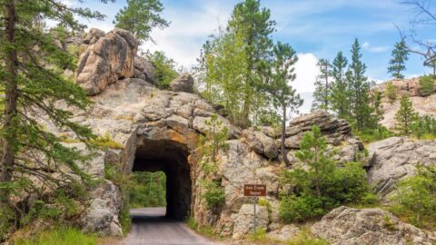 The Most Photogenic Spots On A Mount Rushmore Tour | Mount Rushmore Tours